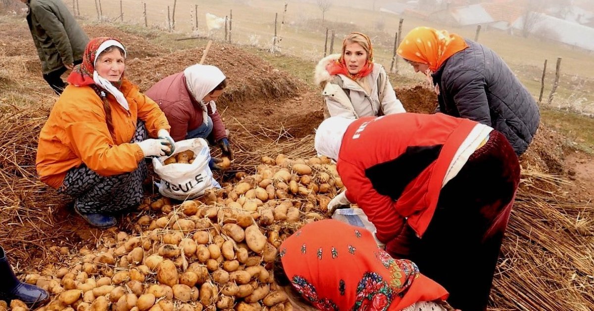 Albanie : quel avenir pour une meilleure agriculture ? - Le Courrier ...
